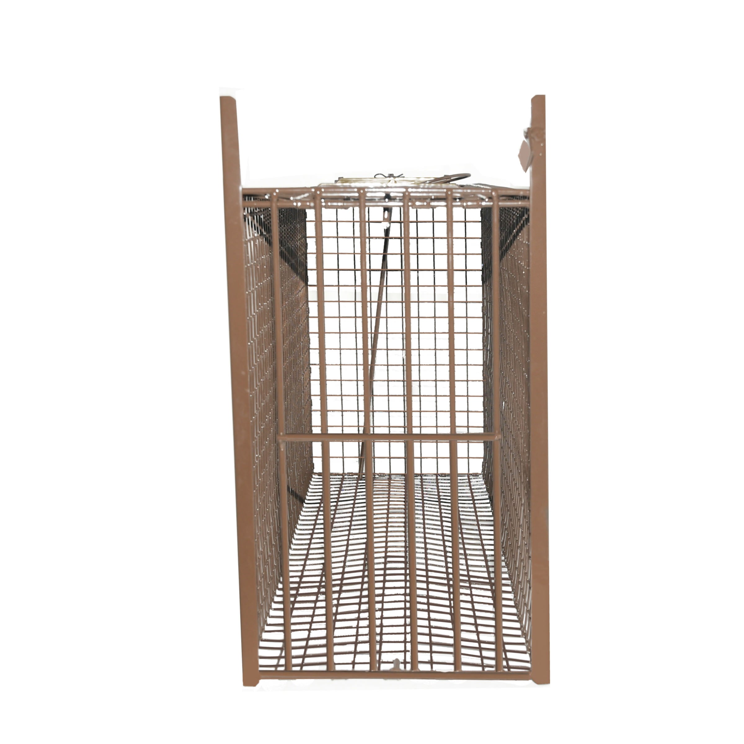 Bobcat Live Cage Trap, Bobcat Pro | ZTRAPS