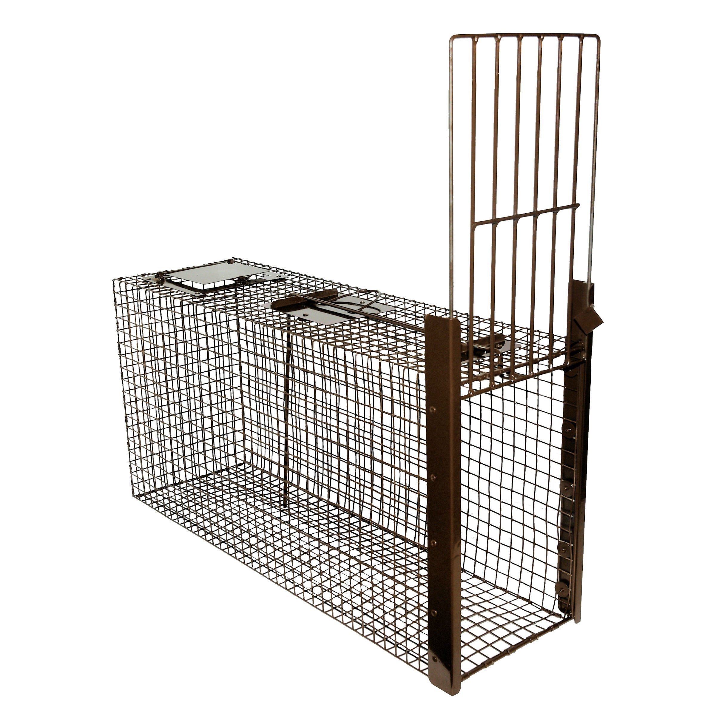 Bobcat Live Cage Trap, Bobcat Pro | ZTRAPS