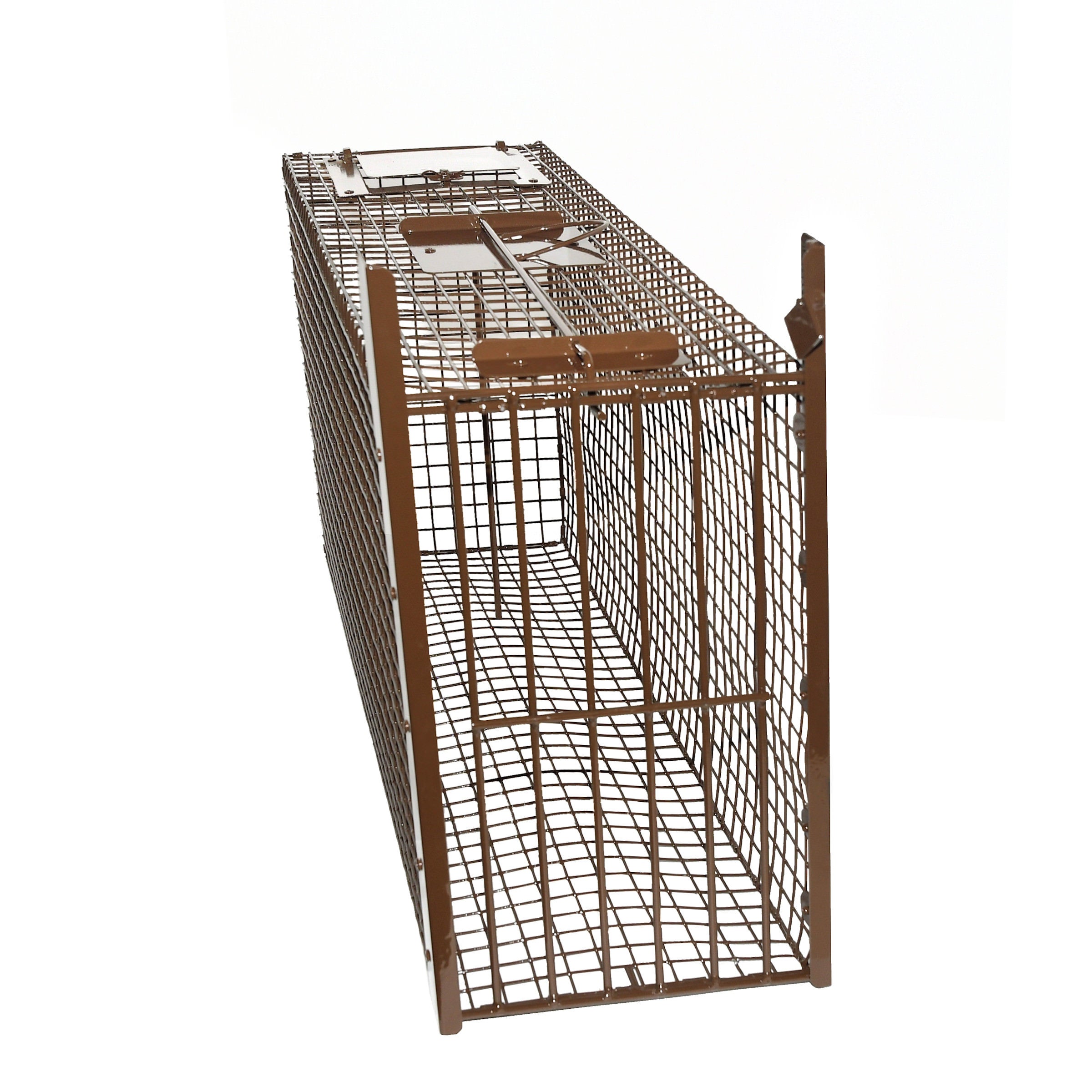 Bobcat Live Cage Trap, Bobcat Pro | ZTRAPS