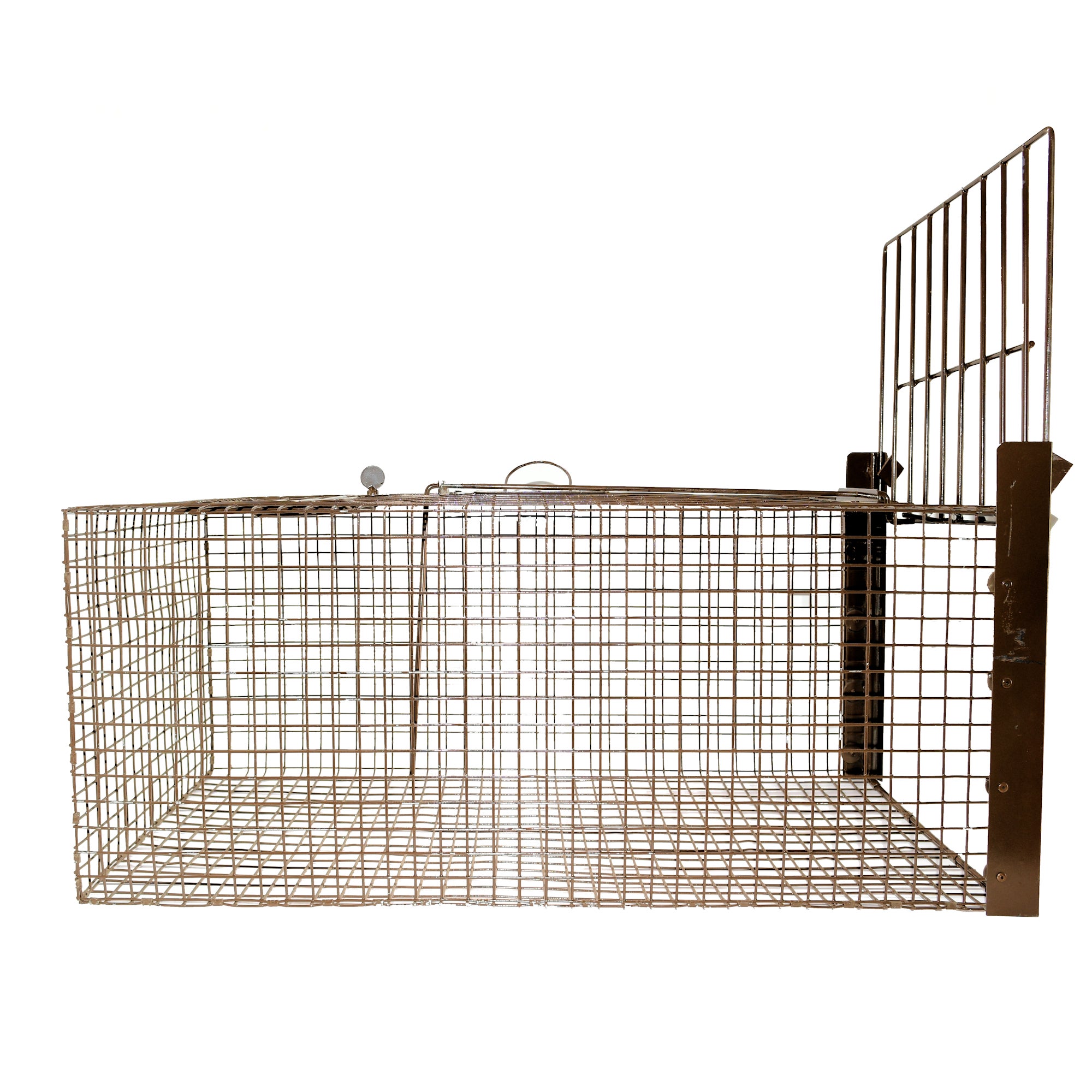 Beaver Cage Single Door Live Cage Trap | ZTRAPS