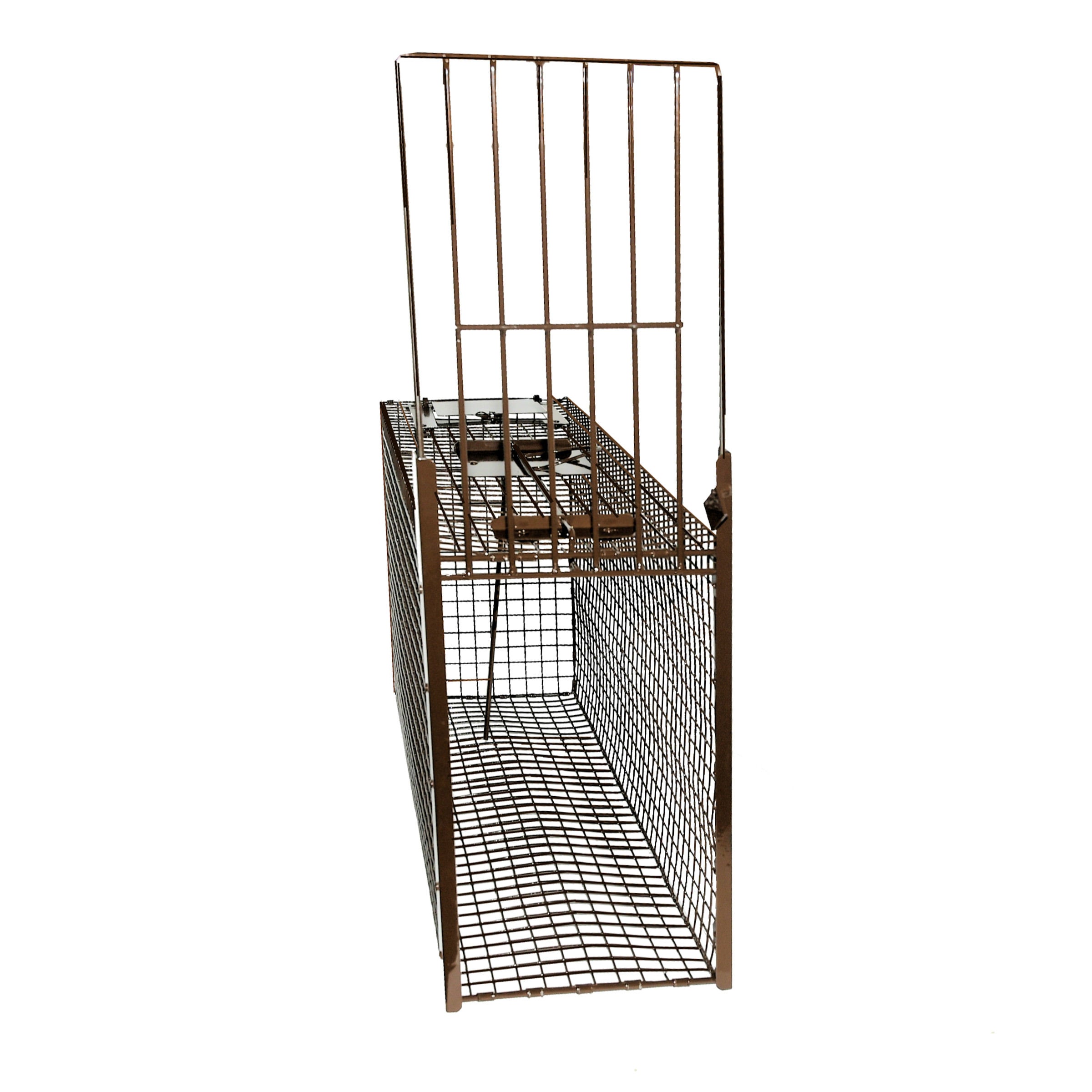 Bobcat Live Cage Trap, Bobcat Pro | ZTRAPS